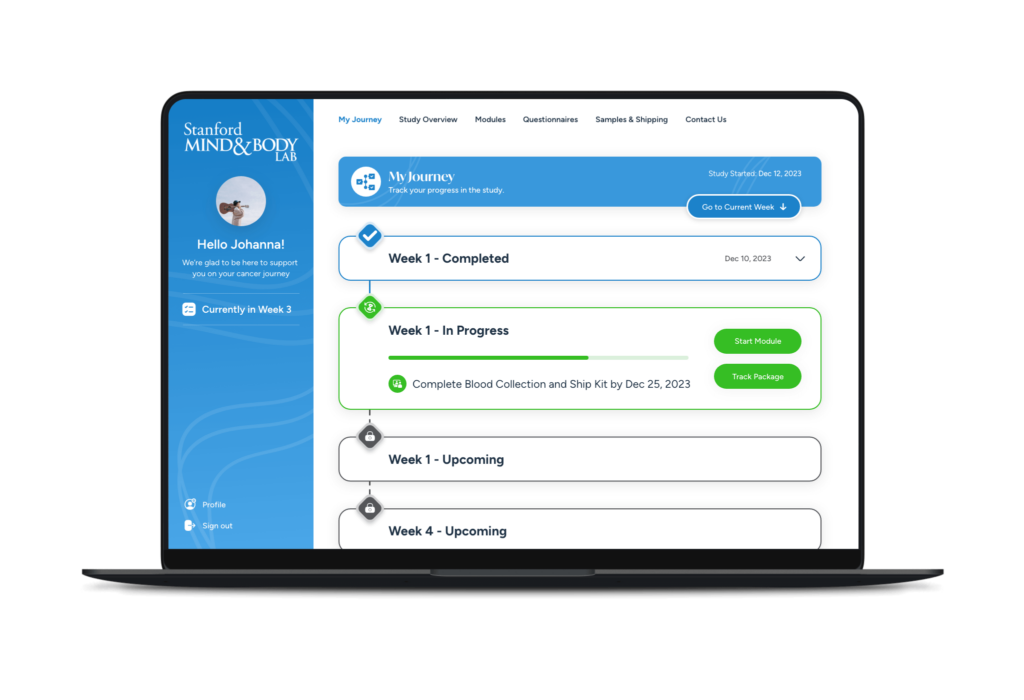 ReactJS Development Company | React Development Services